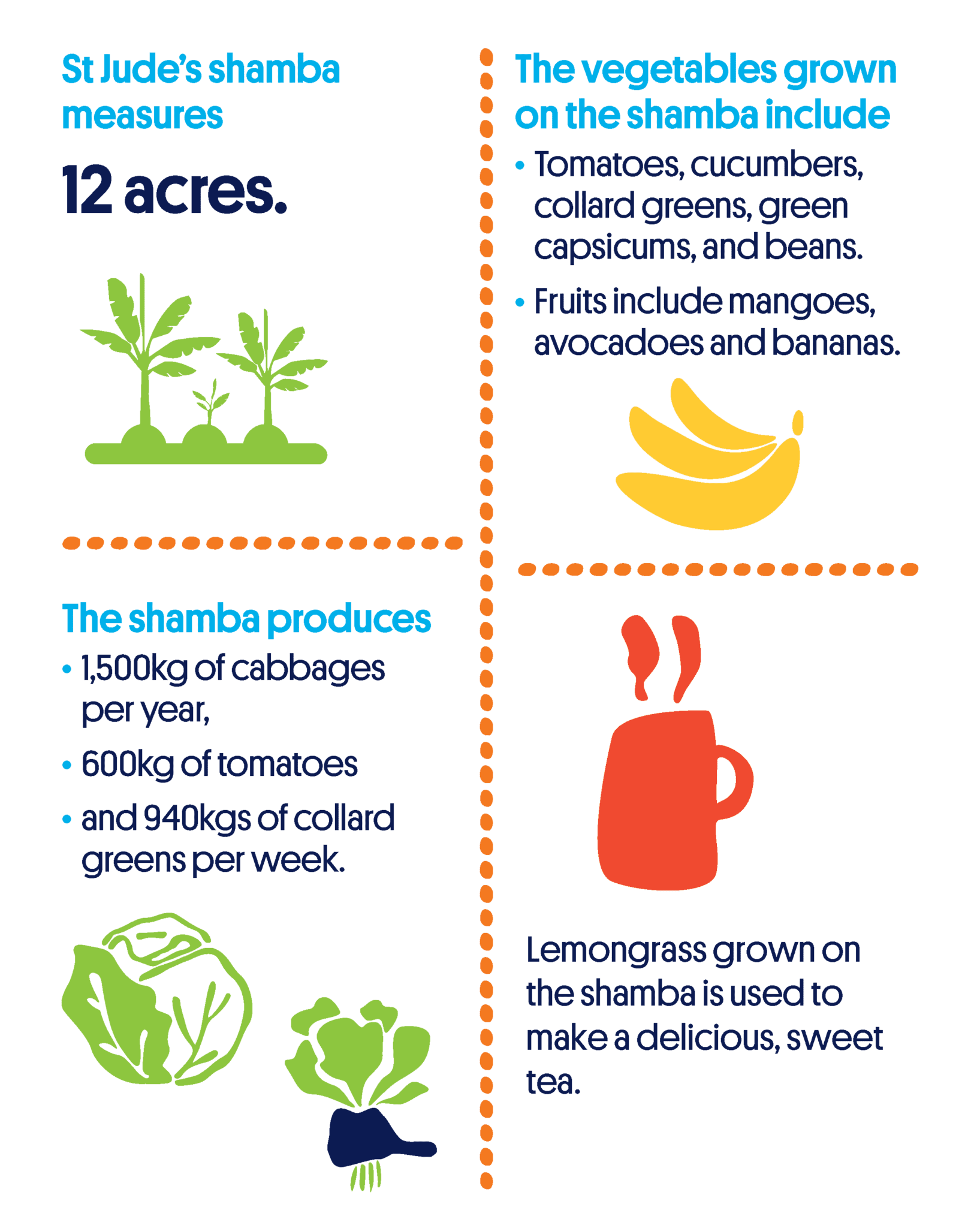 Shamba Stats – St Jude's News – The School of St Jude