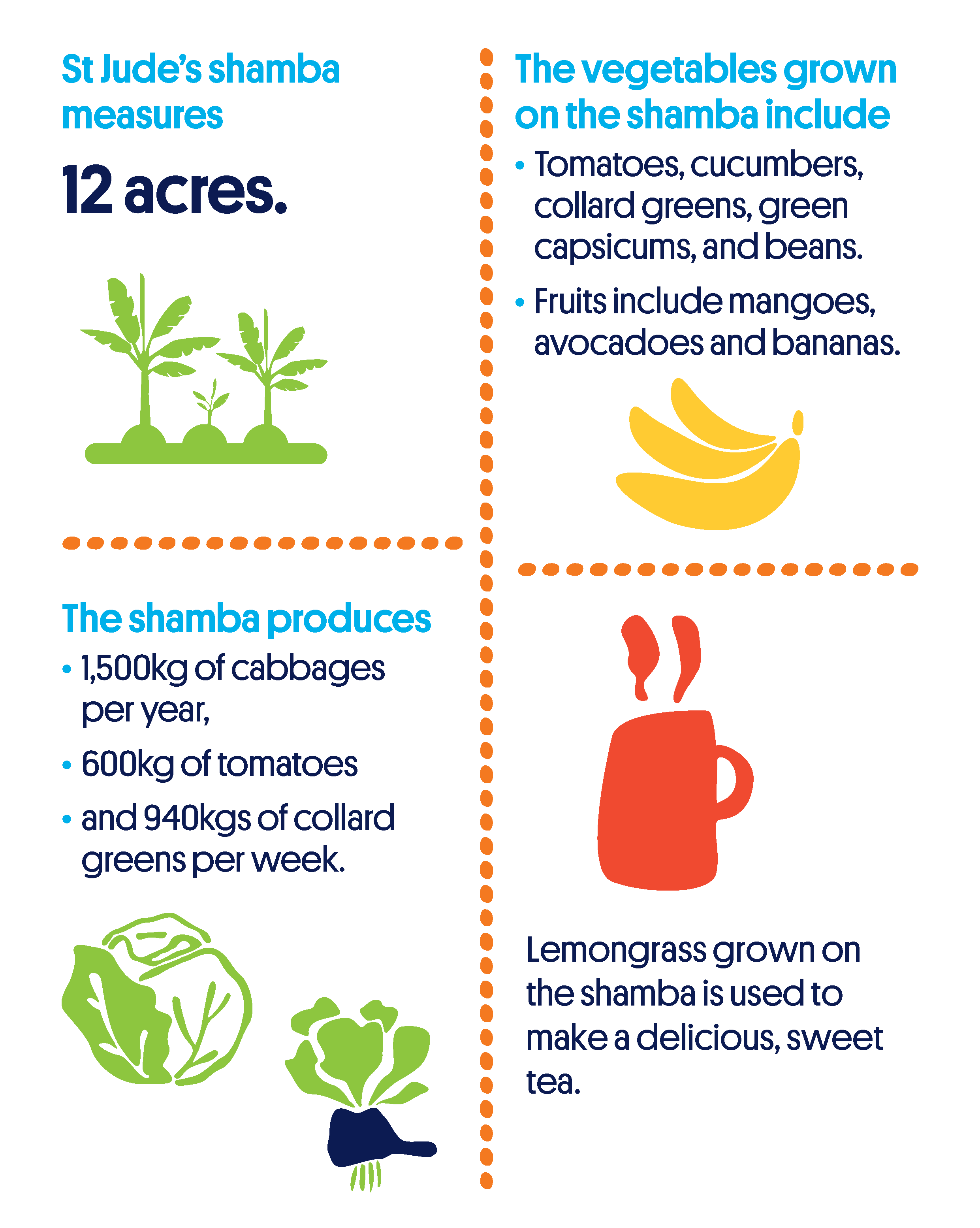 Shamba Stats – St Jude's News – The School of St Jude