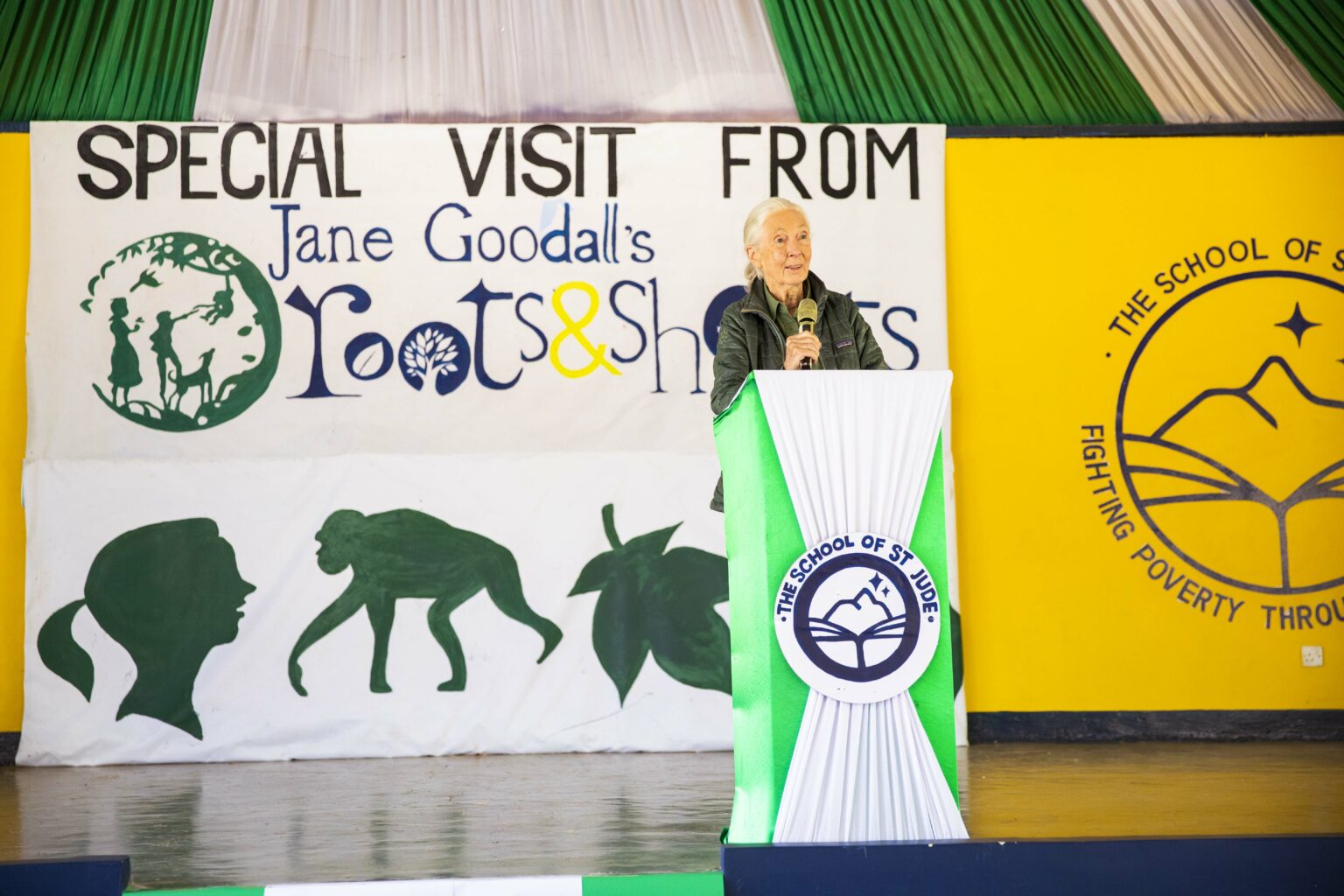 Finding Inspiration in Dr Goodall’s Legacy – St Jude's News – The ...