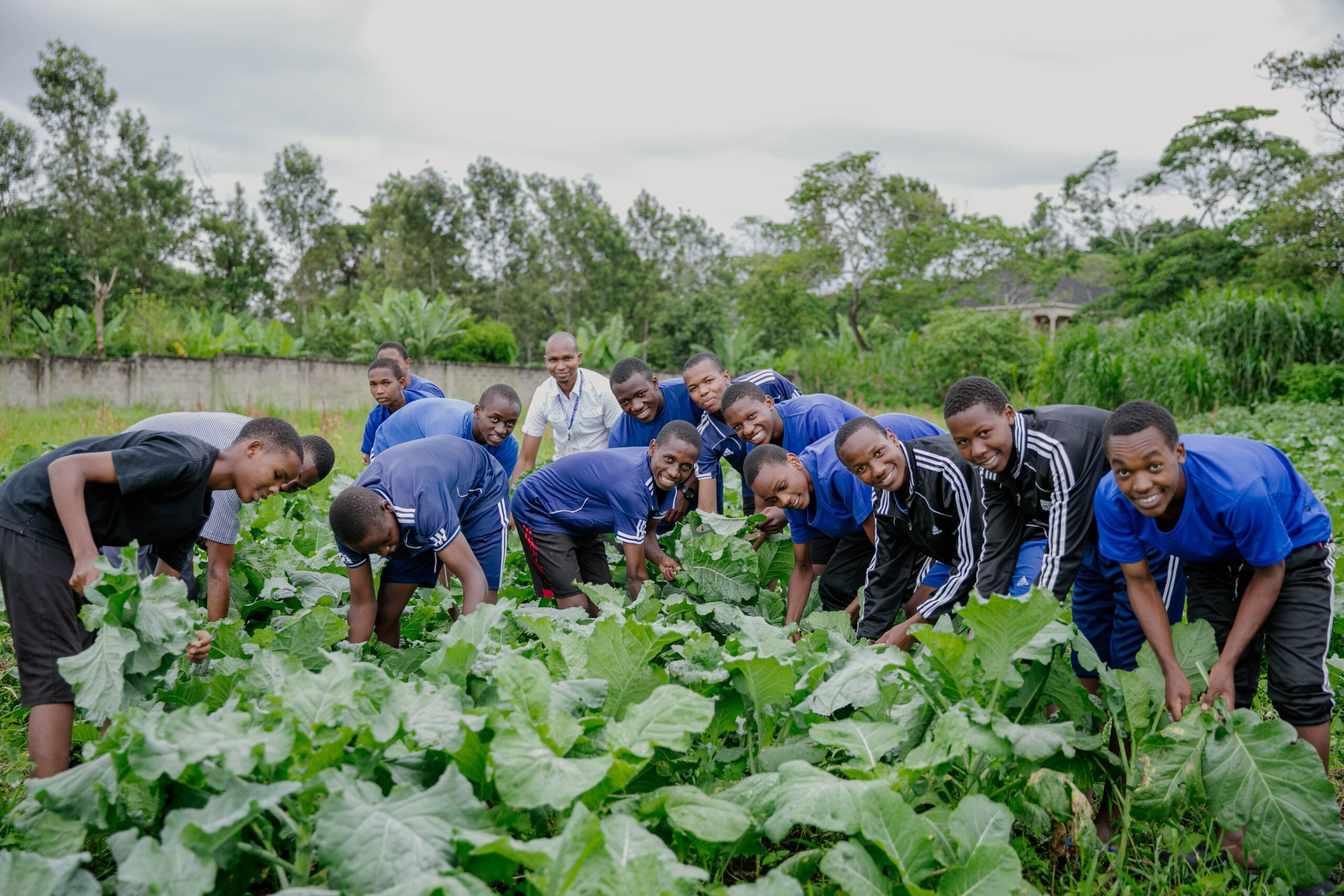 Sowing Seeds of Kindness – St Jude's News – The School of St Jude