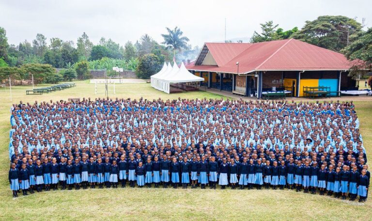 St Jude’s at 23: Our growth by the numbers – St Jude's News – The ...